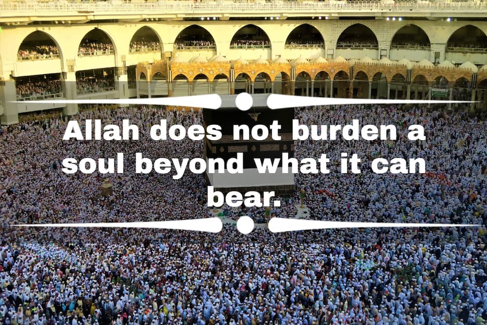 100 Sabr Islamic Quotes About Patience And The Rewards It Brings